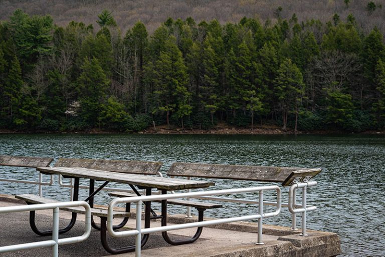 Things to See & Do at Tuscarora State Park | NEPA Parks & Lakes