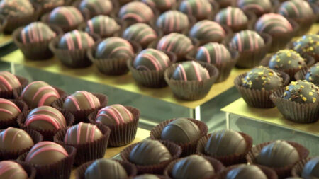 Events & Things to Do in Hazleton, PA | Dining & Attractions