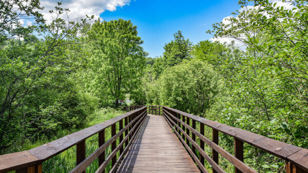 Trolley Trail – Clarks Summit to Dalton | Clarks Summit | DiscoverNEPA