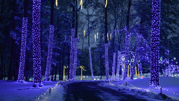NEPA's Festive Holiday Light Displays | DiscoverNEPA