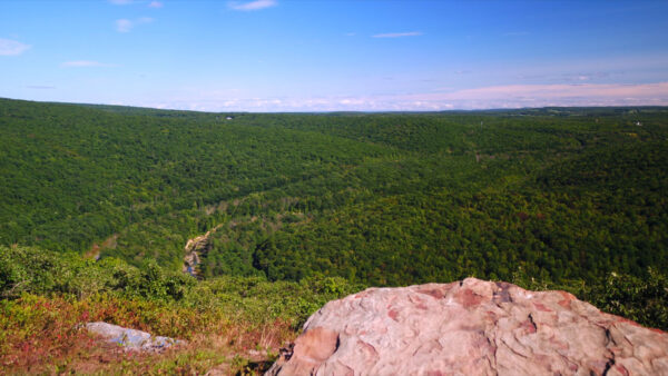 Historic Sites & Museums | NEPA | Things to Do | DiscoverNEPA