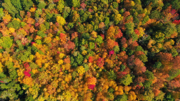 Parks and Lakes | NEPA | Things to Do | DiscoverNEPA