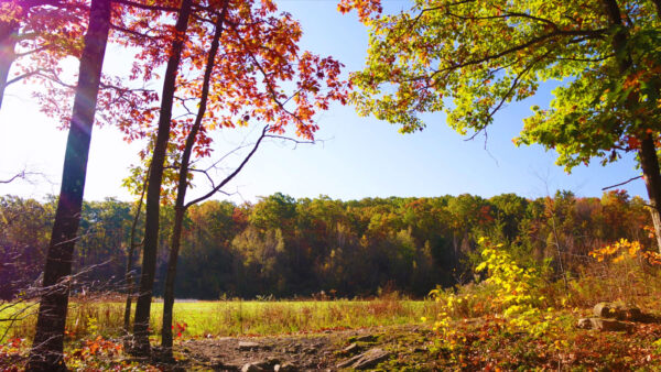 Aylesworth Park | Jermyn | DiscoverNEPA