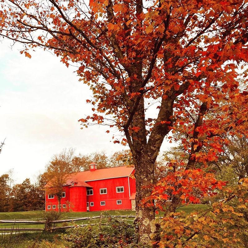 Inn at Tyler Hill | Tyler Hill | DiscoverNEPA