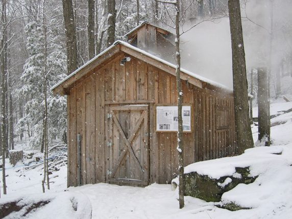 Get Your Tail on the Trail of the Month: Keystone College Woodlands ...