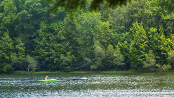 Conservation | Live in NEPA | DiscoverNEPA