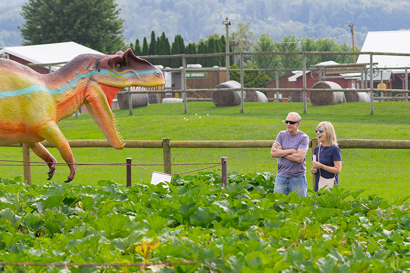 Picture This: Jurassic Farm Dino Fest at Roba Family Farms | NEPA Fairs ...