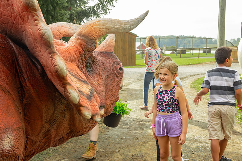Picture This: Jurassic Farm Dino Fest at Roba Family Farms | NEPA Fairs ...