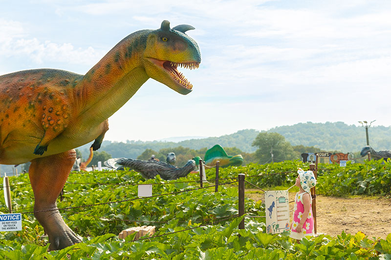 Picture This: Jurassic Farm Dino Fest at Roba Family Farms | NEPA Fairs ...