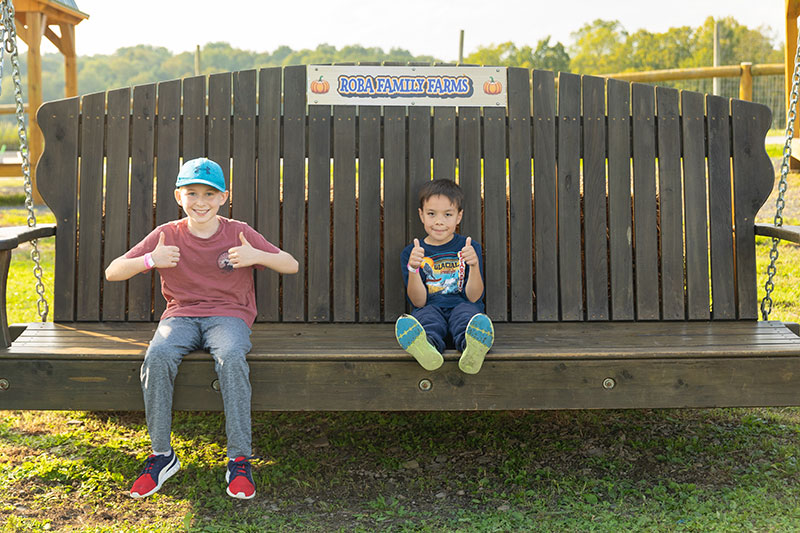 Picture This: Jurassic Farm Dino Fest at Roba Family Farms | NEPA Fairs ...