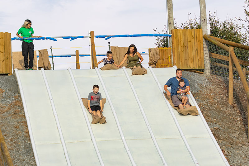 Picture This: Jurassic Farm Dino Fest at Roba Family Farms | NEPA Fairs ...