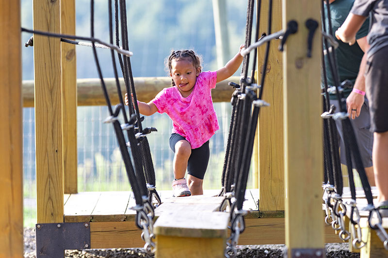 Picture This: Jurassic Farm Dino Fest at Roba Family Farms | NEPA Fairs ...