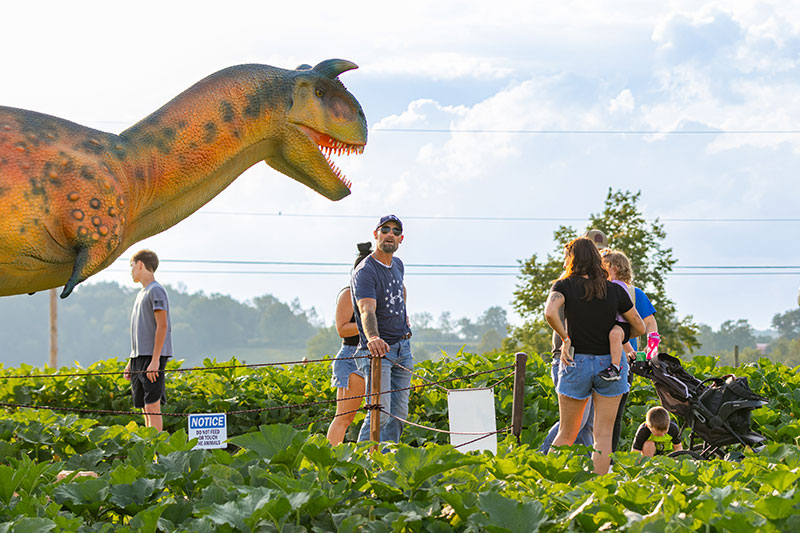 Picture This: Jurassic Farm Dino Fest at Roba Family Farms | NEPA Fairs ...