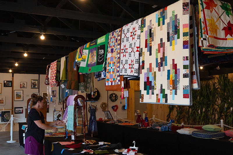 Picture This: Luzerne County Fair 2023 | NEPA Fairs & Festivals