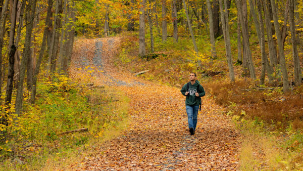Thunder Swamp Trail | East Stroudsburg | DiscoverNEPA