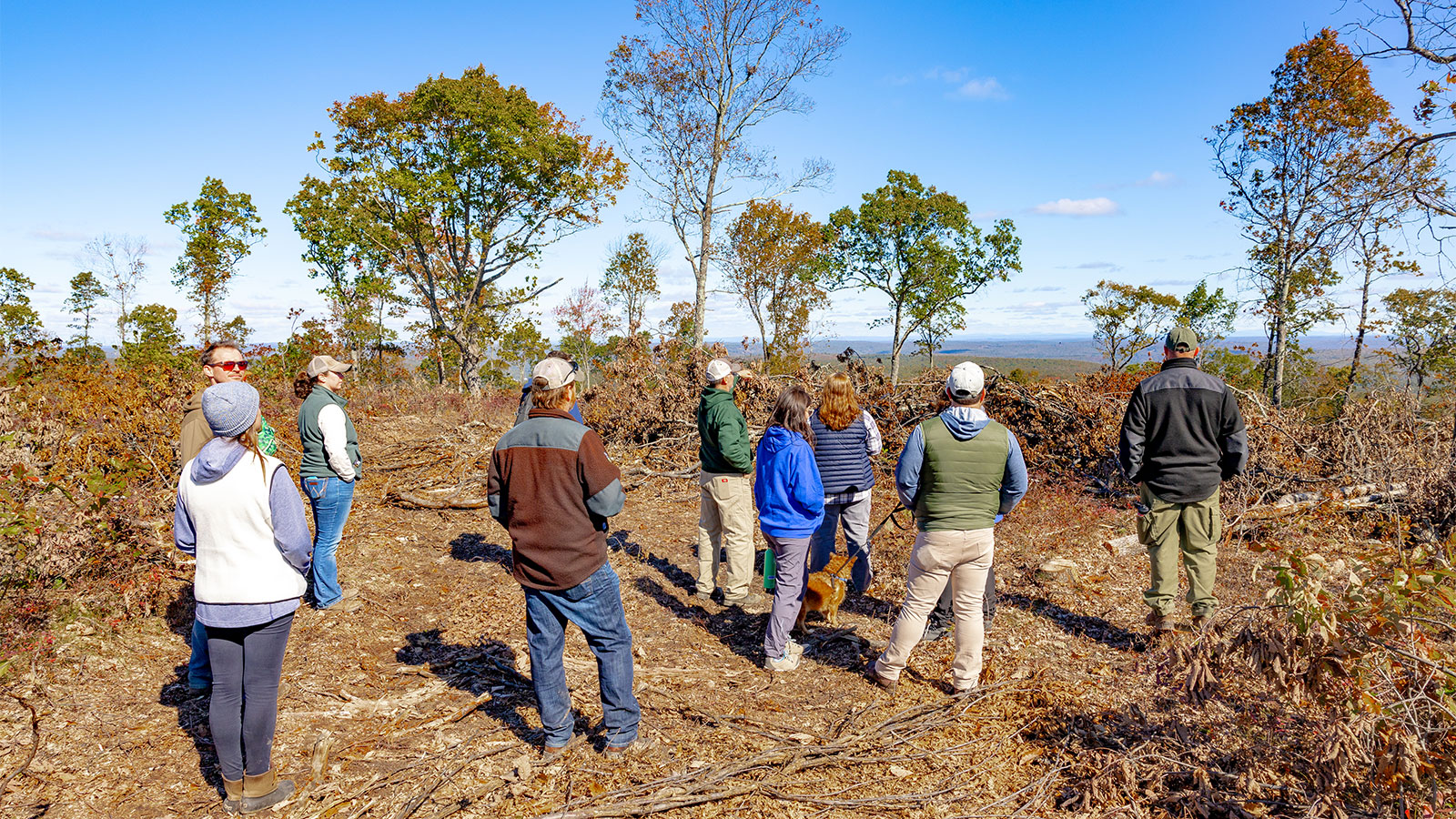 PA DCNR Walk and Talk Series Focuses on Forest Management/Timber Sales ...