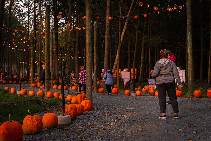 Picture This: Glowing Pumpkin Trail at Roba Family Farms | DiscoverNEPA