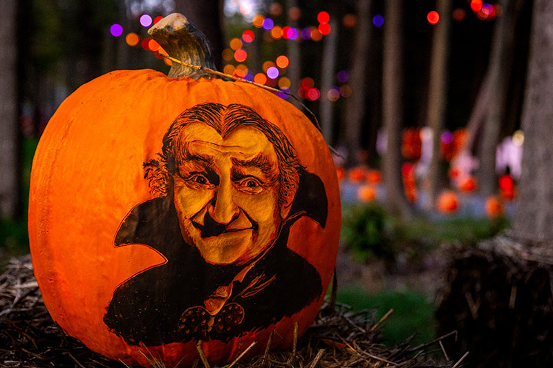 Picture This: Glowing Pumpkin Trail at Roba Family Farms | DiscoverNEPA