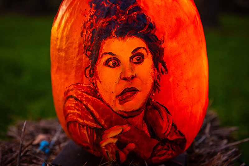 Picture This: Glowing Pumpkin Trail at Roba Family Farms | DiscoverNEPA