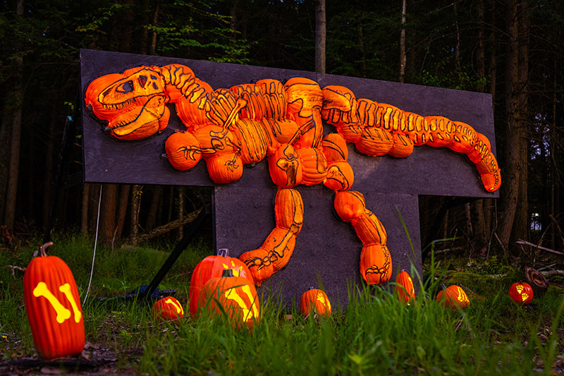 Picture This: Glowing Pumpkin Trail at Roba Family Farms | NEPA Family Fun