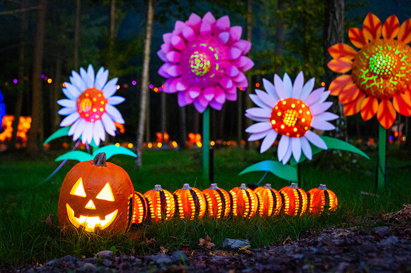 Picture This: Glowing Pumpkin Trail at Roba Family Farms | NEPA Family Fun