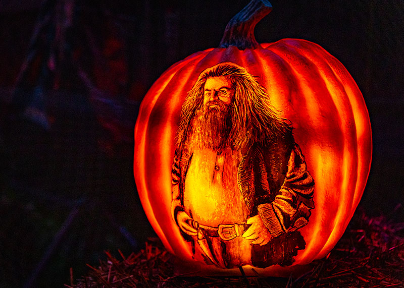 Picture This: Glowing Pumpkin Trail at Roba Family Farms | NEPA Family Fun