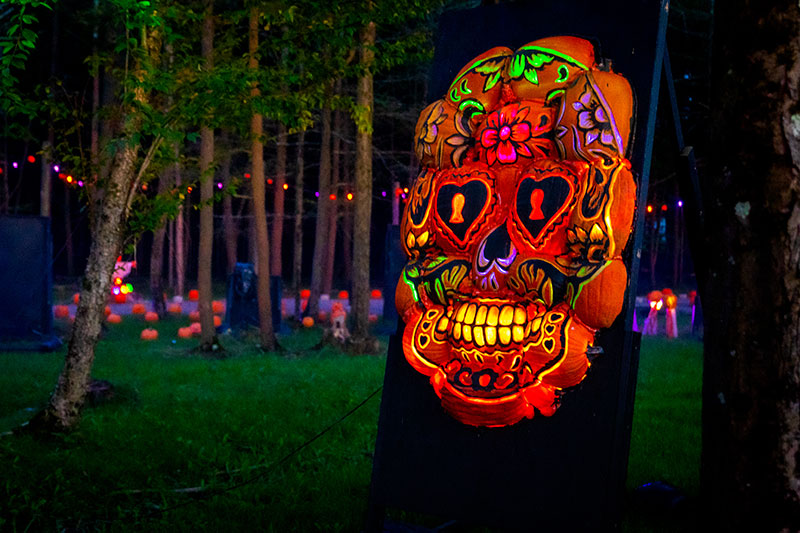 Picture This: Glowing Pumpkin Trail at Roba Family Farms | NEPA Family Fun
