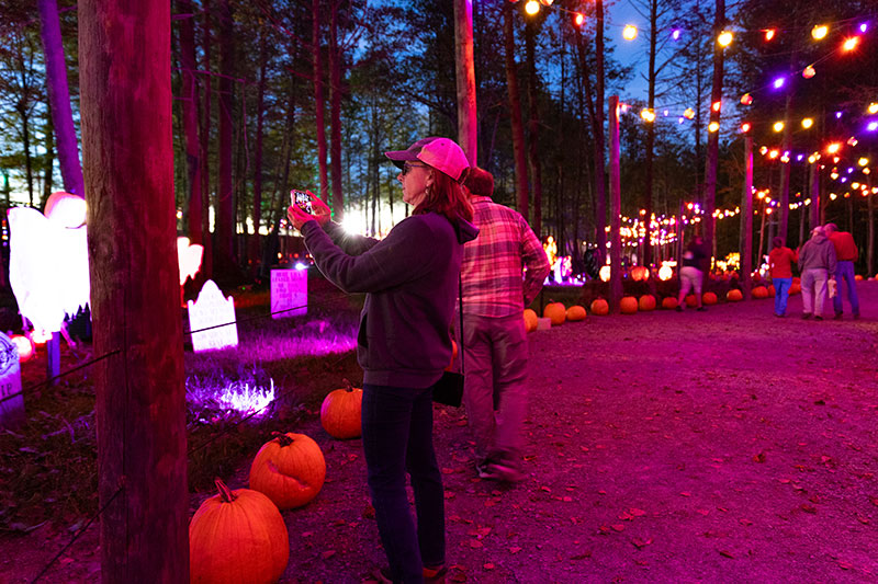 Picture This: Glowing Pumpkin Trail at Roba Family Farms | NEPA Family Fun