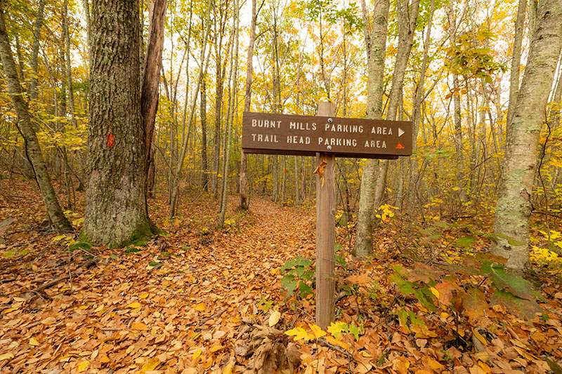 Picture This: Hiking the Delaware State Forest | NEPA Trails