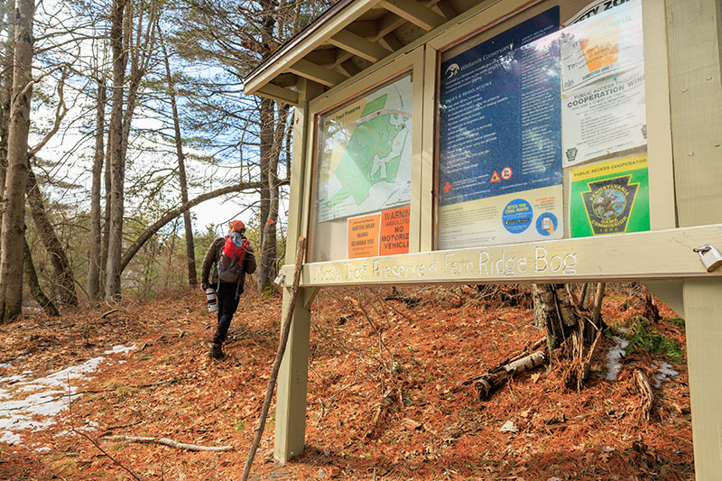 Maple Tract Preserve | Long Pond, PA | NEPA Parks & Lakes