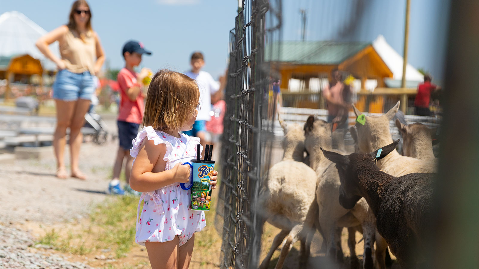 Sweepstakes Entry Form | DiscoverNEPA