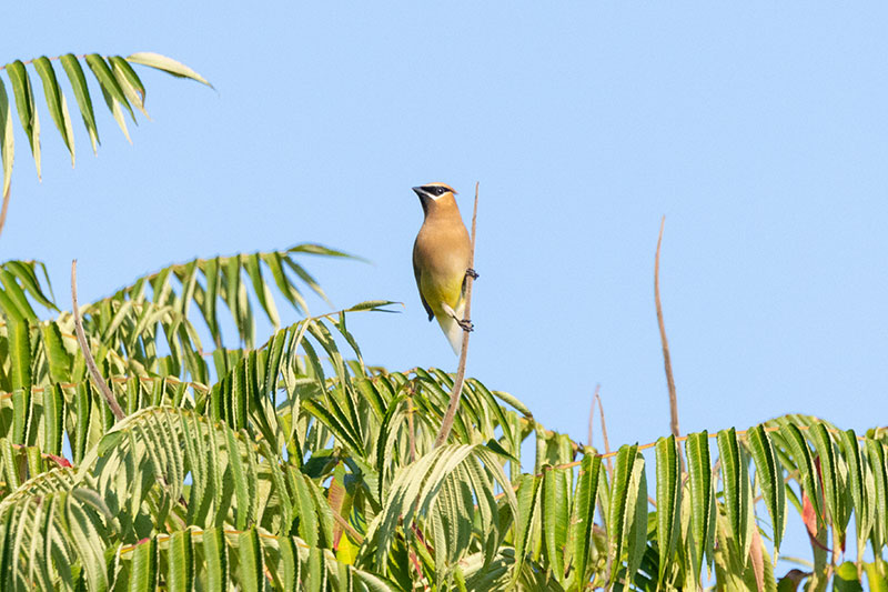 Picture This: A Hike Through Frances Slocum State Park | NEPA Parks & Lakes