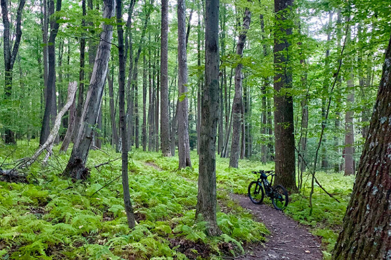 Mountain Biking at Moon Lake State Forest Recreation Area | NEPA Trails