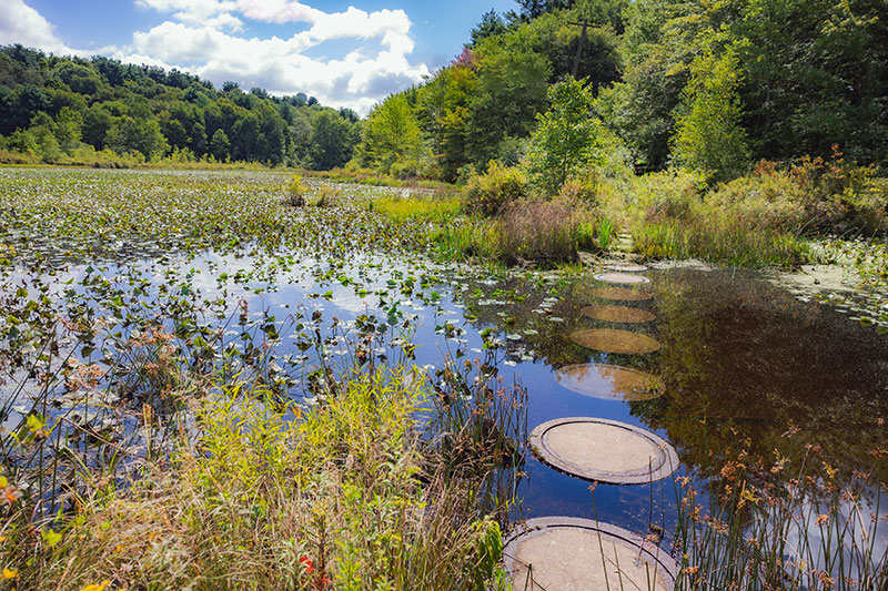 Picture This: A Hike Through Frances Slocum State Park | NEPA Parks & Lakes