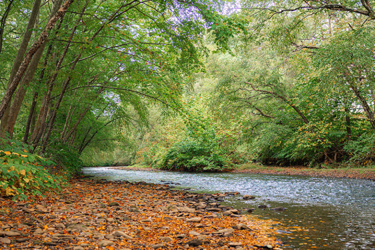 Schuylkill River Recreation Guide | NEPA Outdoors