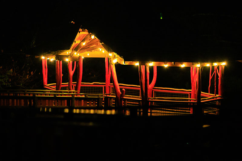 Picture This: 2024 Holiday Light Displays | NEPA Family Fun