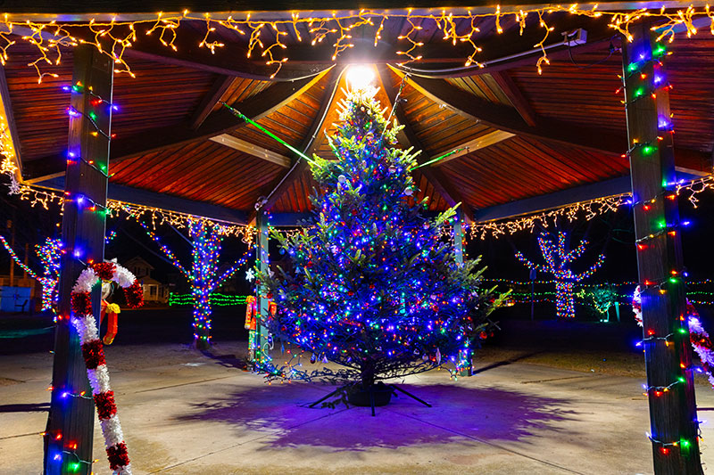 Picture This: 2024 Holiday Light Displays | NEPA Family Fun