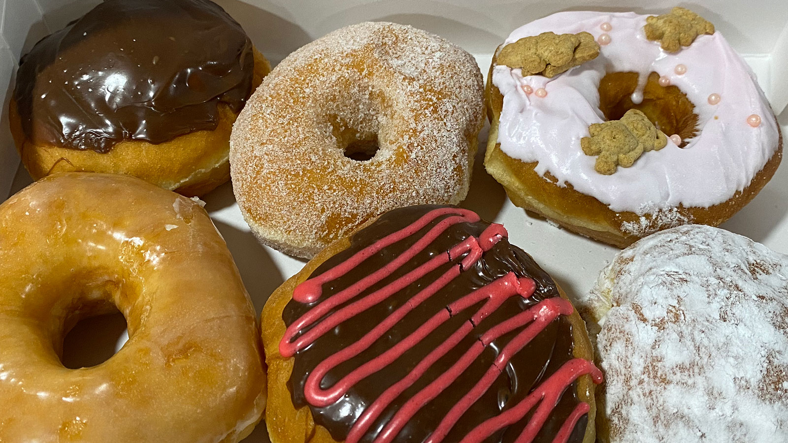 Plain 'N Fancy Donut Shop | Schuylkill Haven, PA | NEPA Treats